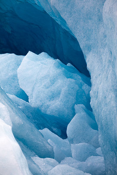 Glacier Ecosystem