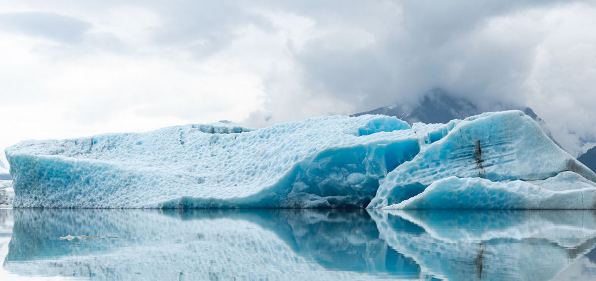 Glacier Ecosystem