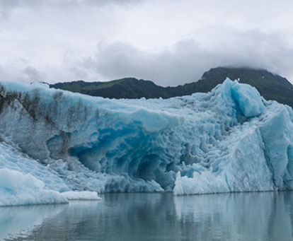 Glacier Ecosystem