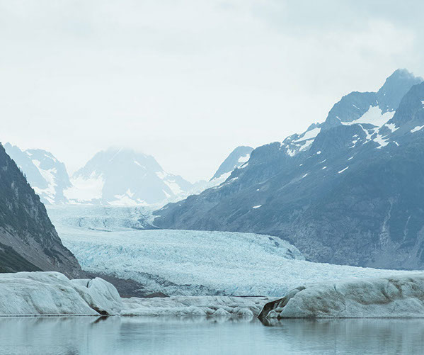 Glacier Ecosystem